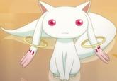 [Image - 859596] | Kyubey | Know Your Meme