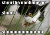 Shun the Nonbeliever | Know Your Meme