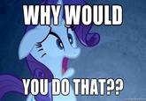 [Image - 97668] | Why Would You Do That ? | Know Your Meme