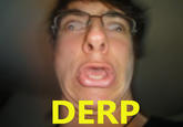 [Image - 53984] | Derp | Know Your Meme
