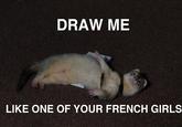 [Image - 177595] | Draw Me Like One of Your French Girls | Know Your Meme