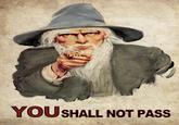 [Image - 42500] | You Shall Not Pass!!! | Know Your Meme