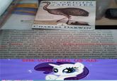 Hecarim lost in Ponyville | My Little Pony: Friendship is Magic | Know ...