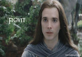 Figwit | Know Your Meme