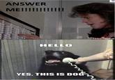 [Image - 225374] | Yes, This is Dog | Know Your Meme