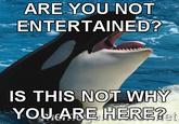 [Image - 219420] | Are You Not Entertained? | Know Your Meme