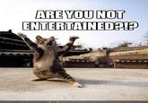 [Image - 219420] | Are You Not Entertained? | Know Your Meme