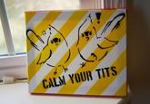 Your t---: calm them, you must | Calm Your Tits | Know Your Meme