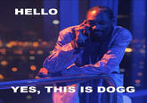 [Image - 217131] | Yes, This is Dog | Know Your Meme