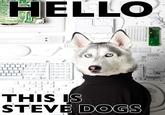 [Image - 217040] | Yes, This is Dog | Know Your Meme