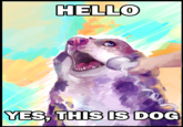 [Image - 225239] | Yes, This is Dog | Know Your Meme