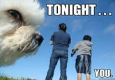 Tonight You | Know Your Meme