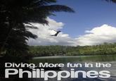 It's More Fun in the Philippines | Know Your Meme