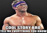 Cool story, bro! origins | Cool Story, Bro | Know Your Meme