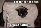 [Image - 172120] | I Regret Nothing | Know Your Meme