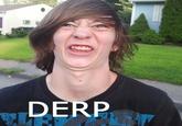 [Image - 165506] | Derp | Know Your Meme