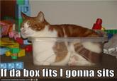 [Image - 268078] | If It Fits I Sits | Know Your Meme