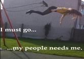 [Image - 138616] | I Must Go | Know Your Meme