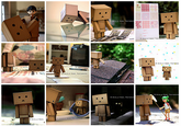 [Image - 286712] | Danbo | Know Your Meme