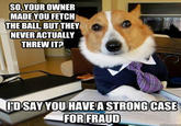 Lawyer Dog | Know Your Meme