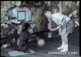 My Dog Is A Circle Because He Is Round | Dogs | Know Your Meme