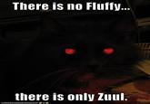 [Image - 314020] | There Is No Dana, Only Zuul | Know Your Meme