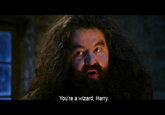 [Image - 117393] | You're a Wizard, Harry! | Know Your Meme