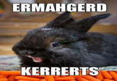 [Image - 275935] | Ermahgerd | Know Your Meme