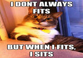 [Image - 293001] | If It Fits I Sits | Know Your Meme