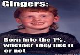 Ginger Guy | Know Your Meme