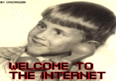 Interweb Canon | Welcome to The Internet | Know Your Meme