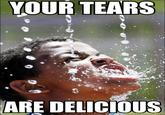 Butterflies drinking a turtle's tears | Your Tears are Delicious | Know ...