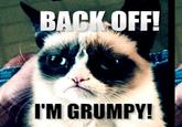 I hate you | Grumpy Cat | Know Your Meme