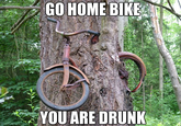 [Image - 428819] | Go Home, You Are Drunk | Know Your Meme