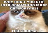 Don't Stop Believin' (Grumpy Cat) | Grumpy Cat | Know Your Meme