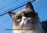 Prozac | Grumpy Cat | Know Your Meme