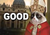 Don't Stop Believin' (Grumpy Cat) | Grumpy Cat | Know Your Meme