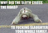 Sloth attacks Titanic | Sloths | Know Your Meme