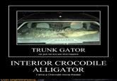 [Image - 538387] | Interior Crocodile Alligator | Know Your Meme