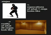 Different Levels of Ninjas | Ninjas | Know Your Meme