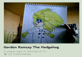 Kira the hedgehog (I think) | Sonic Original Characters | Know Your Meme