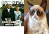 I hate you | Grumpy Cat | Know Your Meme
