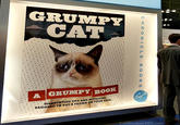 Good | Grumpy Cat | Know Your Meme