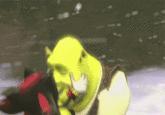 My eyes they bleed | Shadow x Shrek | Know Your Meme