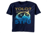 [Image - 457089] | Grumpy Cat | Know Your Meme