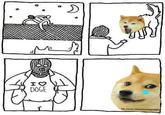 CateDoge | Doge | Know Your Meme