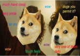 Can't believe they predicted cryptocurrency | Doge | Know Your Meme
