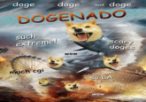 Pizzadoge | Doge | Know Your Meme