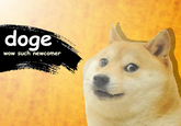 Dogenut | Doge | Know Your Meme