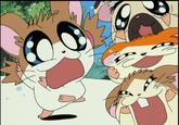 [Image - 821147] | Hamtaro & The Ham-Hams | Know Your Meme